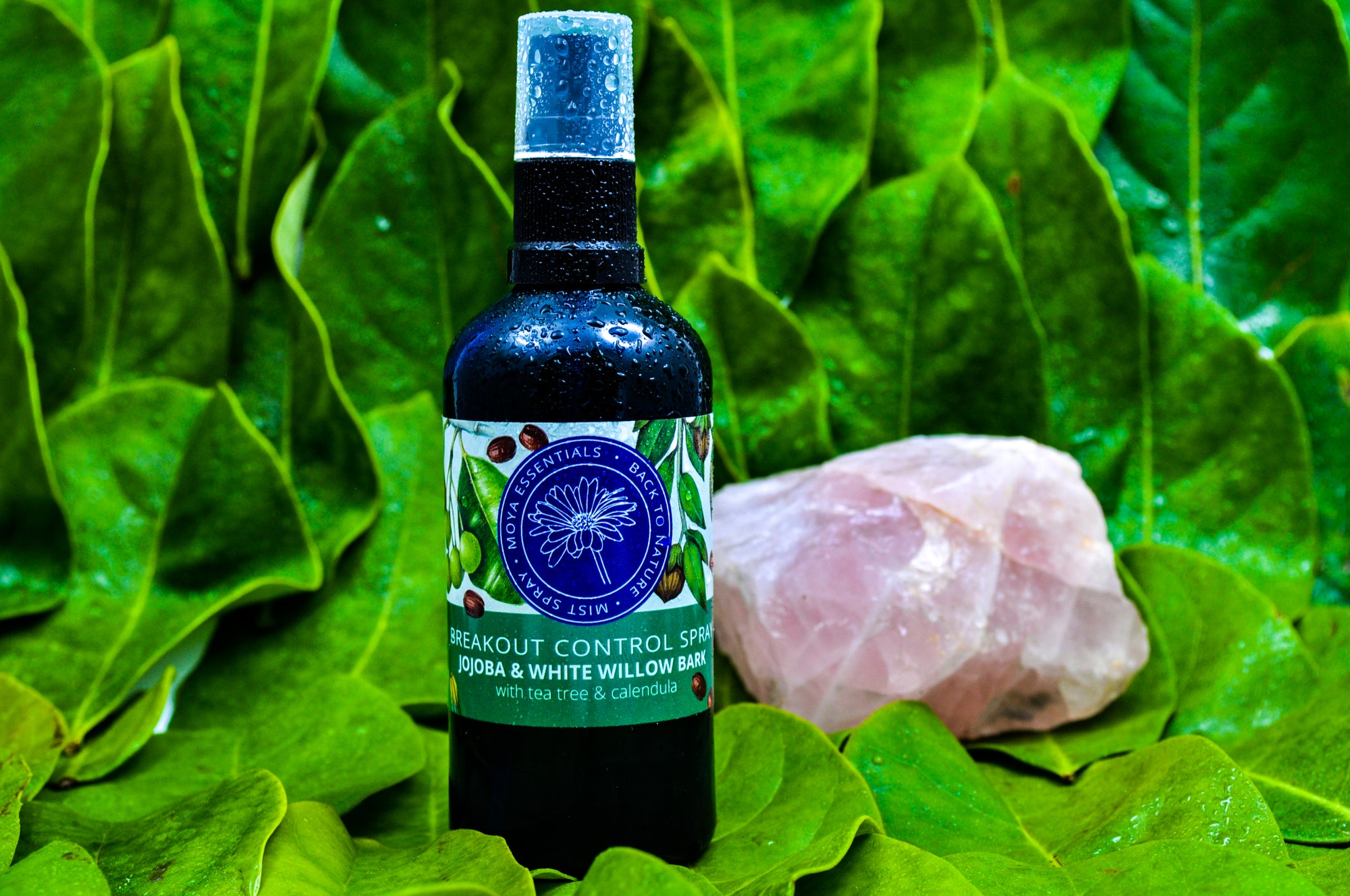 Moya Essentials Home – https://www.moyaessentials.com/